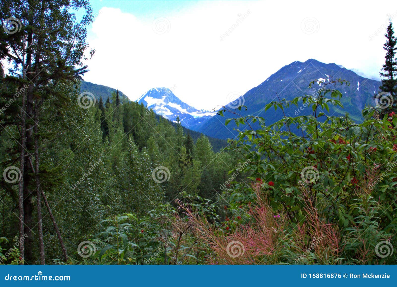 Alaska Landscape stock photo. Image of gold, panning - 168816876