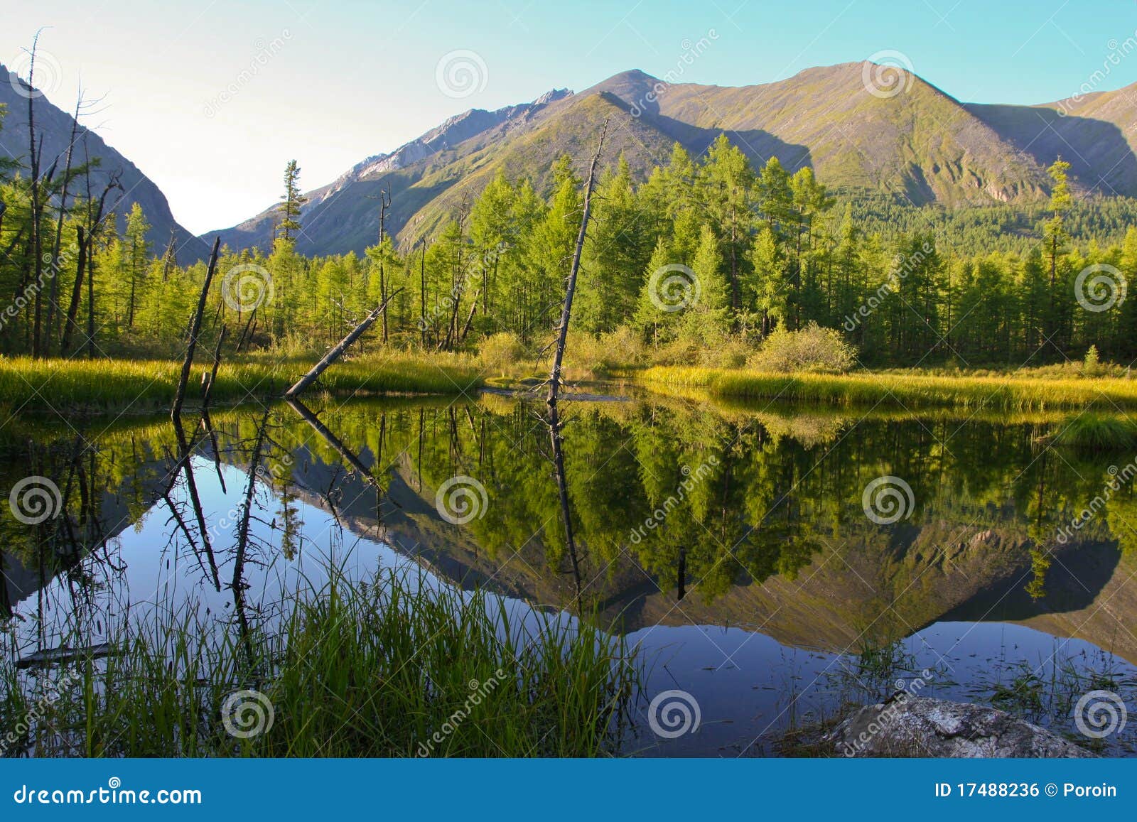 Scenic mountain pond stock photo. Image of rural, beauty - 17488236
