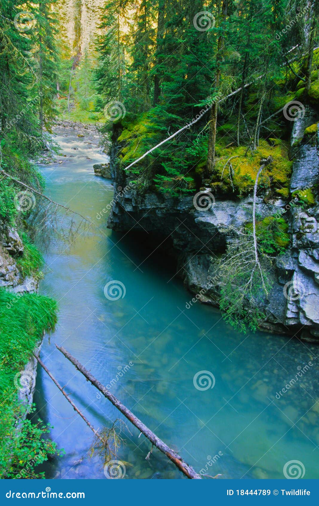 Scenic Mountain Stream stock image. Image of river, beautiful - 18444789