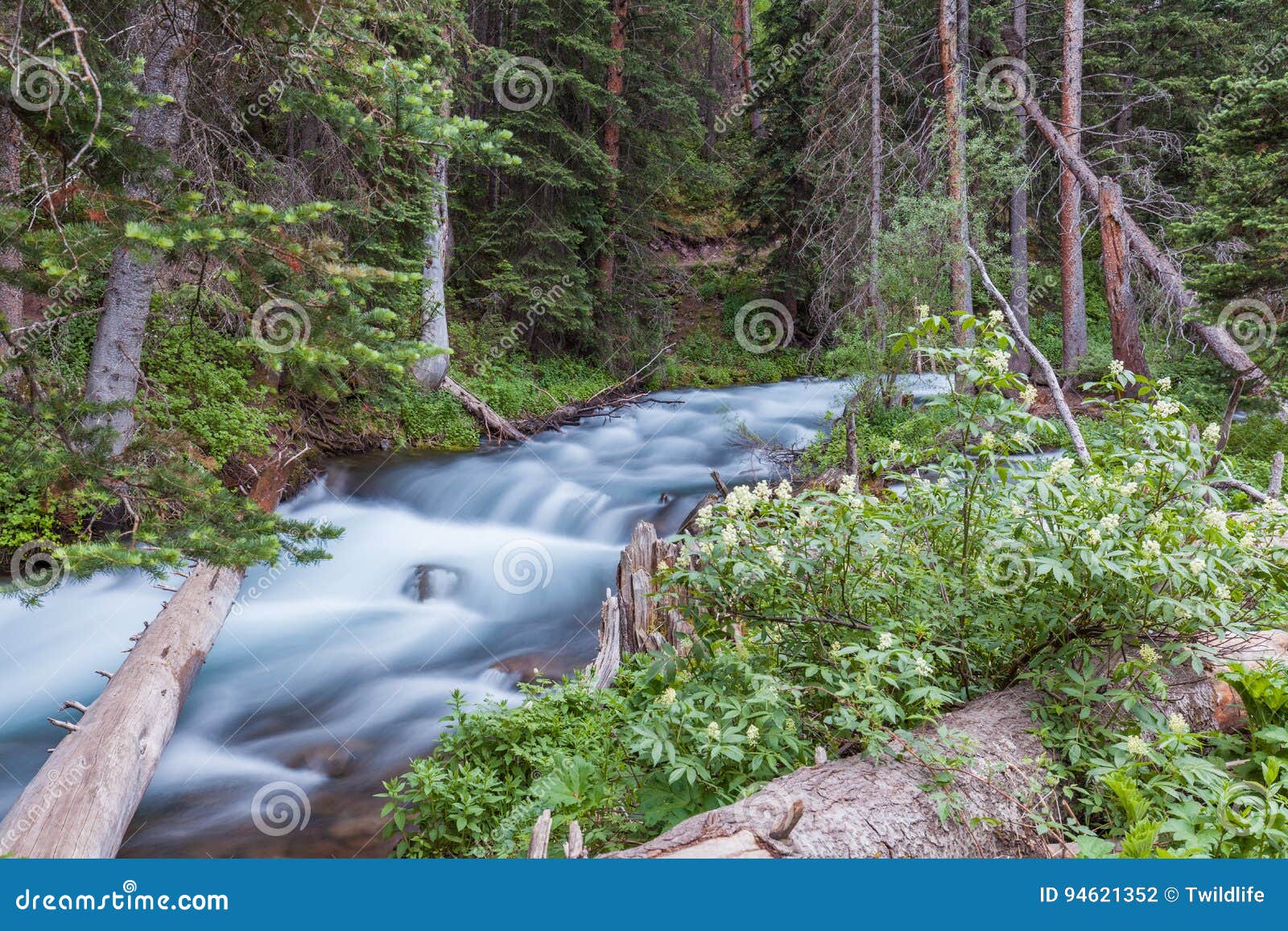 Scenic Mountain Stream stock photo. Image of colorado - 94621352