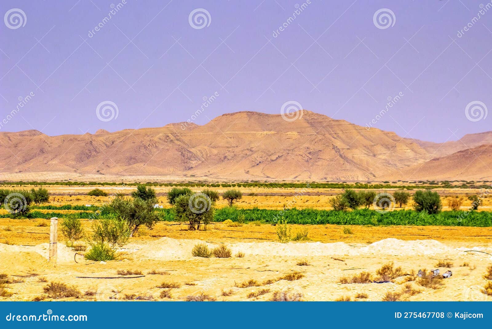 Scenic Mountain View in the Desert of Gafsa, Tunisia Stock Photo ...