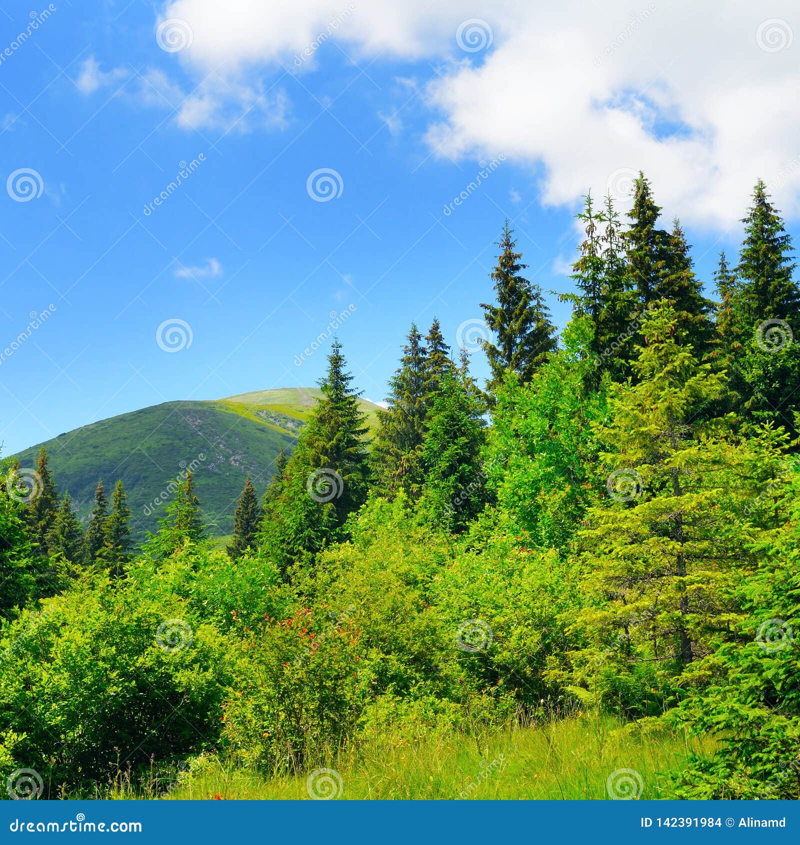 Scenic Mountains, Meadows and Blue Sky Stock Photo - Image of beautiful ...