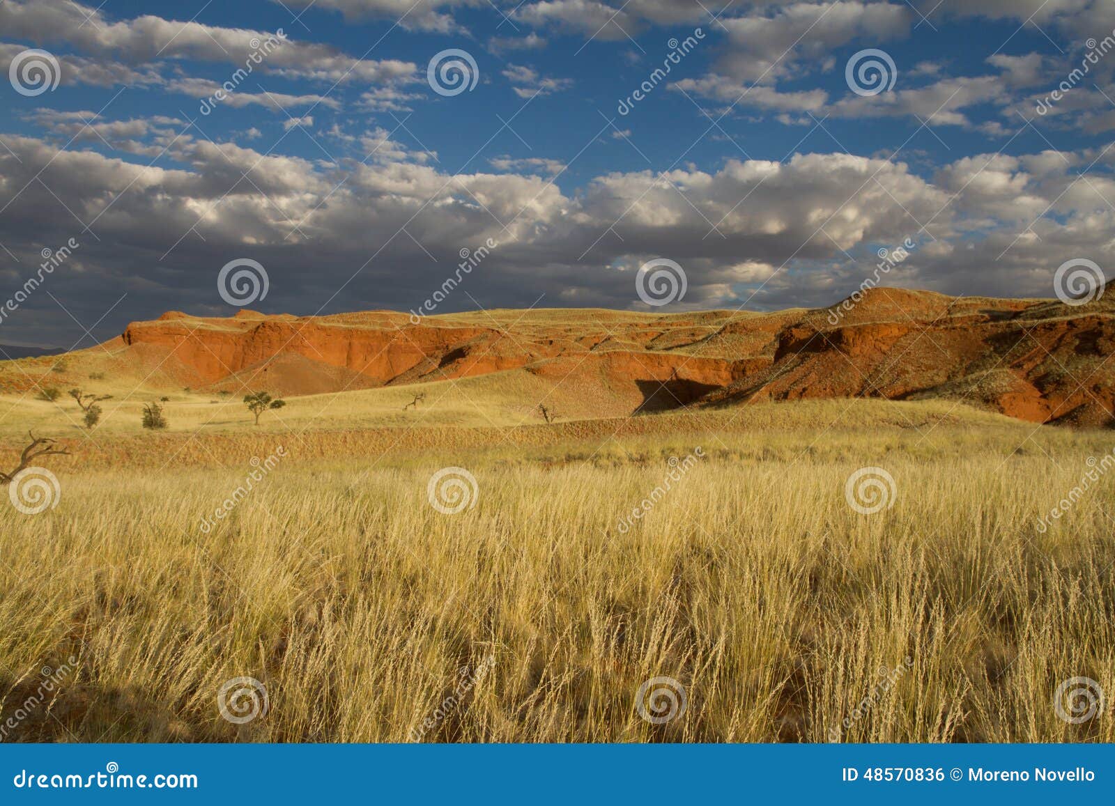 Scenic namibian cliff stock photo. Image of sand, namibia - 48570836