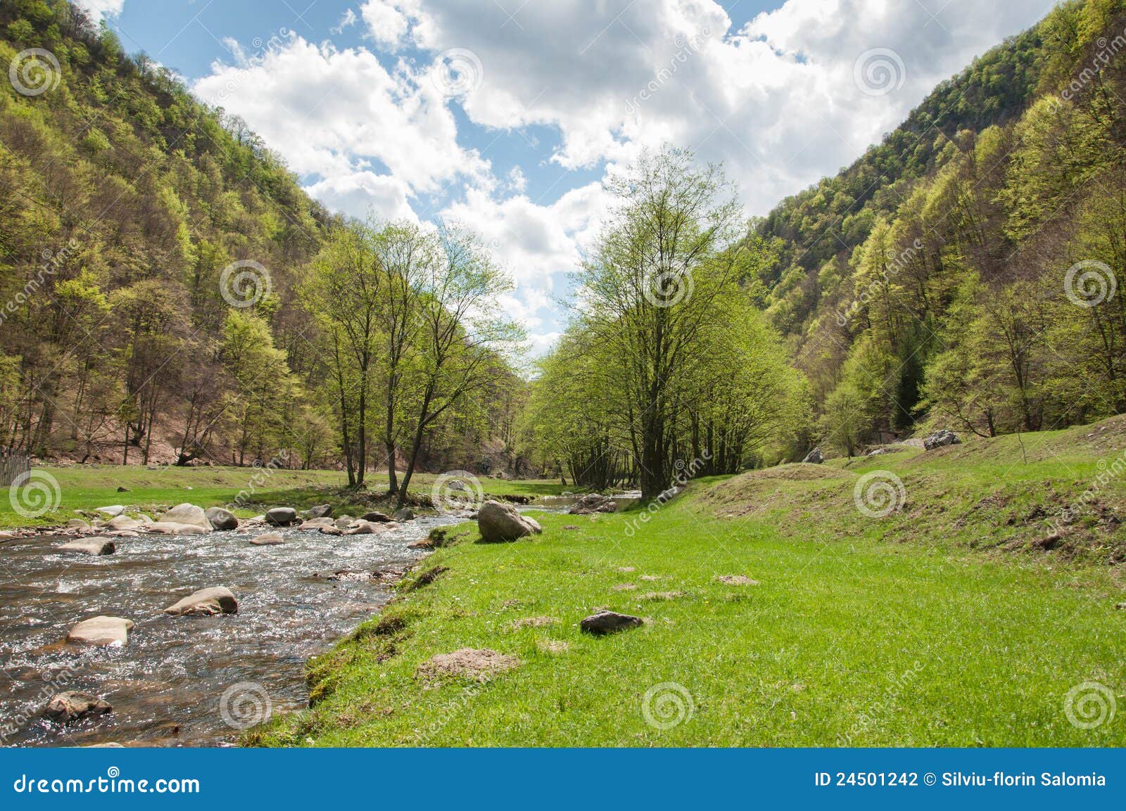Scenic Natural Landscape and Lush Vegetation Stock Photo - Image of ...