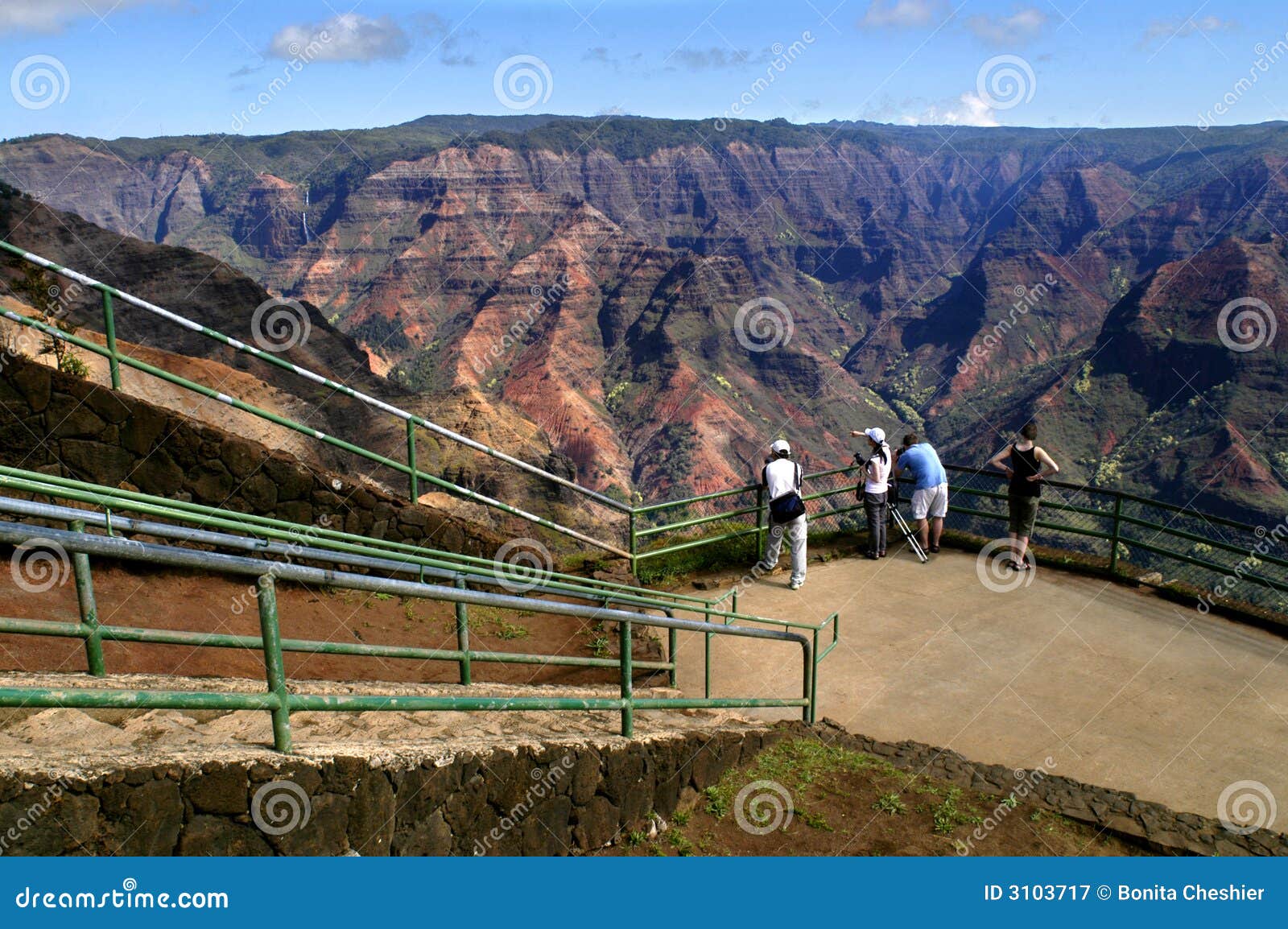 Scenic Overlook Waimea Canyon Stock Image - Image of sites, scenery ...