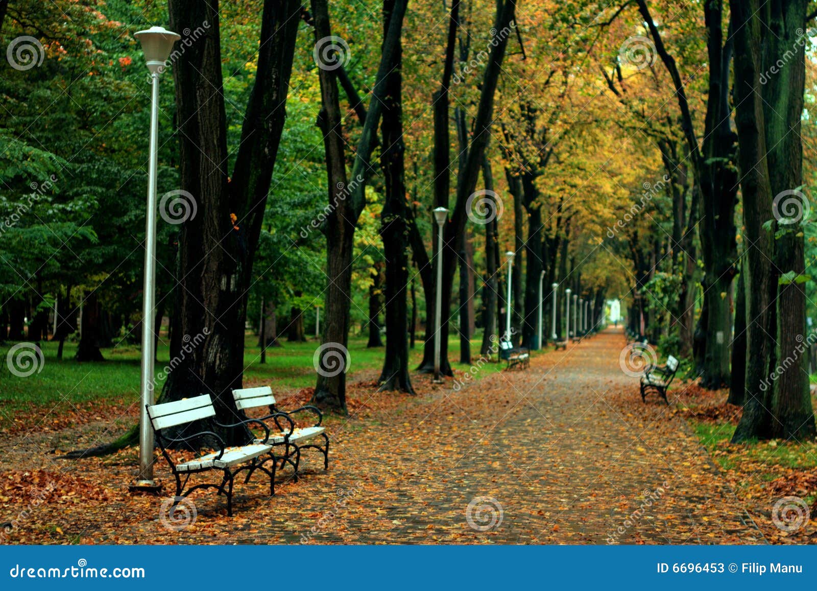 Scenic park in autumn stock image. Image of pathway, scenic - 6696453