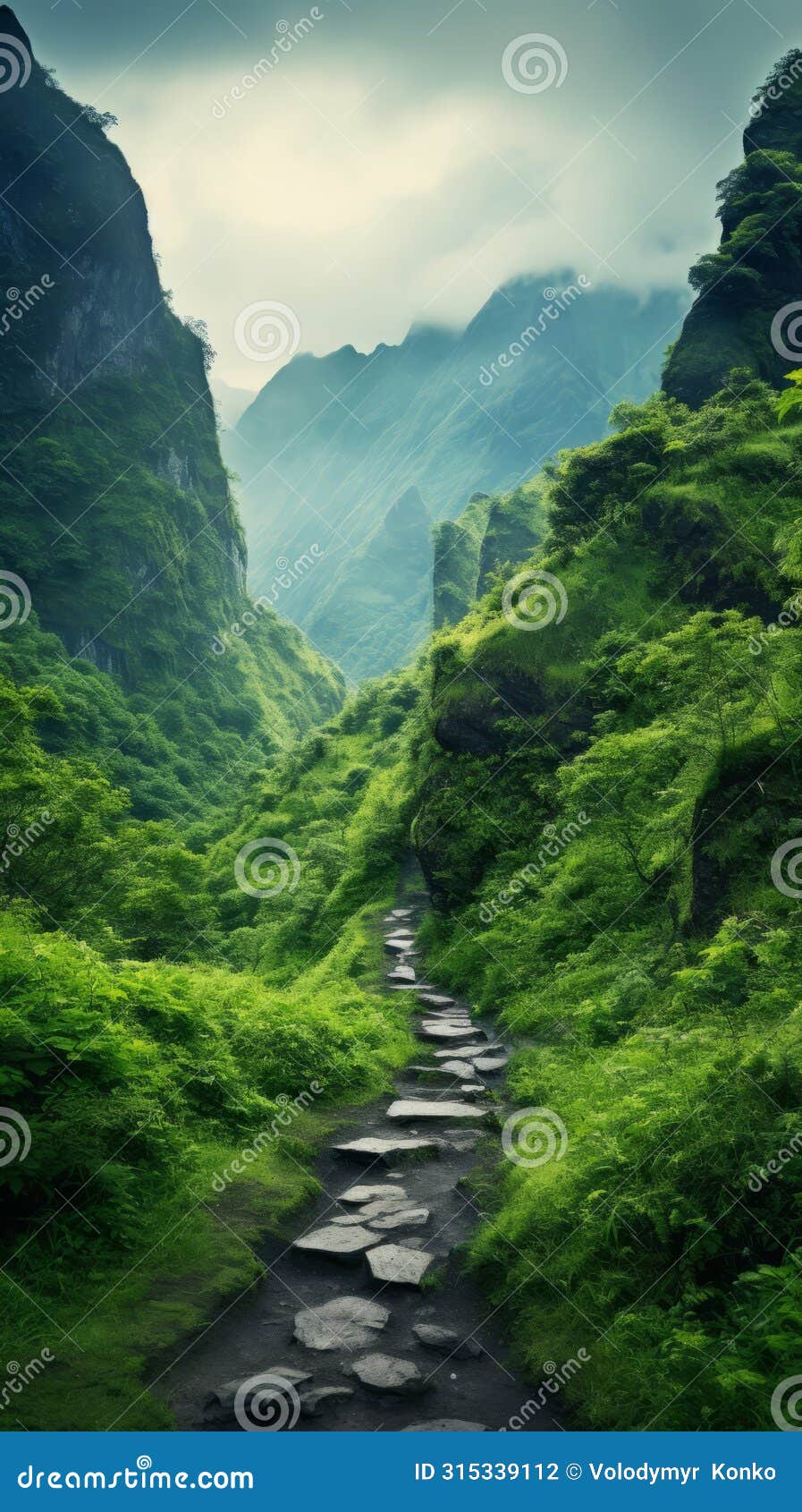 A Scenic Path through a Vibrant Green Valley Stock Photo - Image of ...