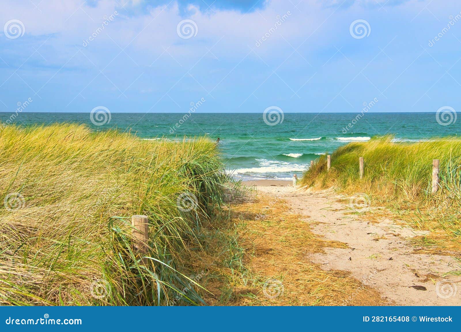Scenic Pathway Leading To a Beach in the Warm Summer Sunlight Stock ...