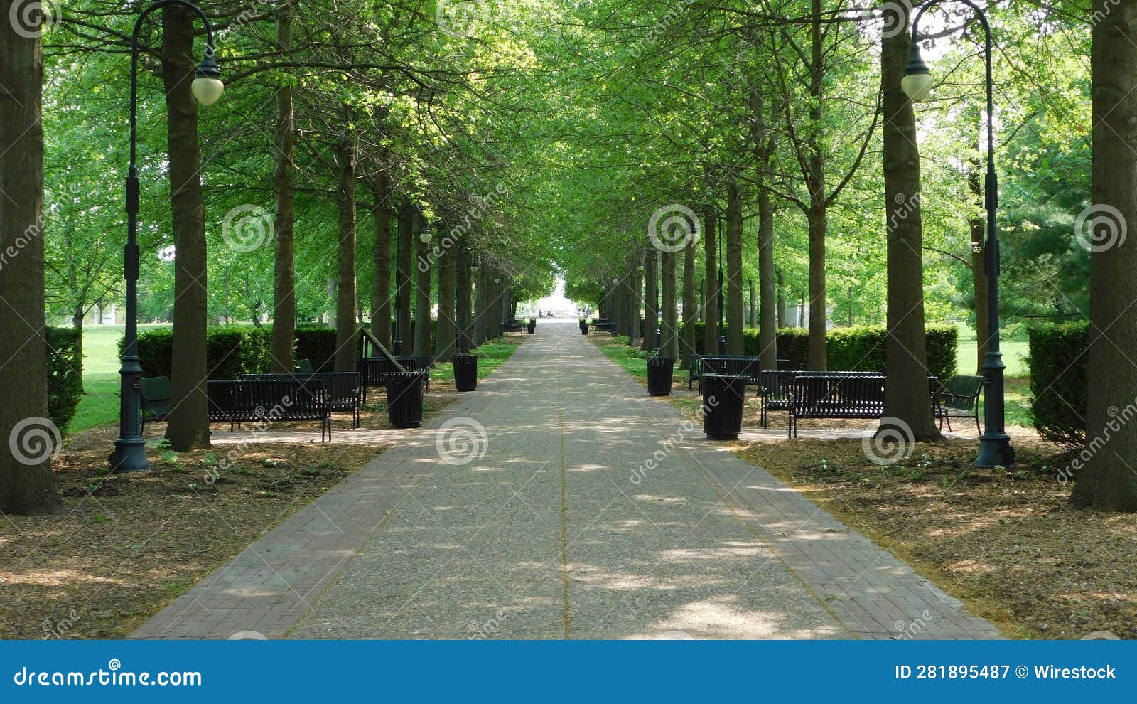 Scenic Pathway Lined with Trees and Benches in a Park. Stock Image ...