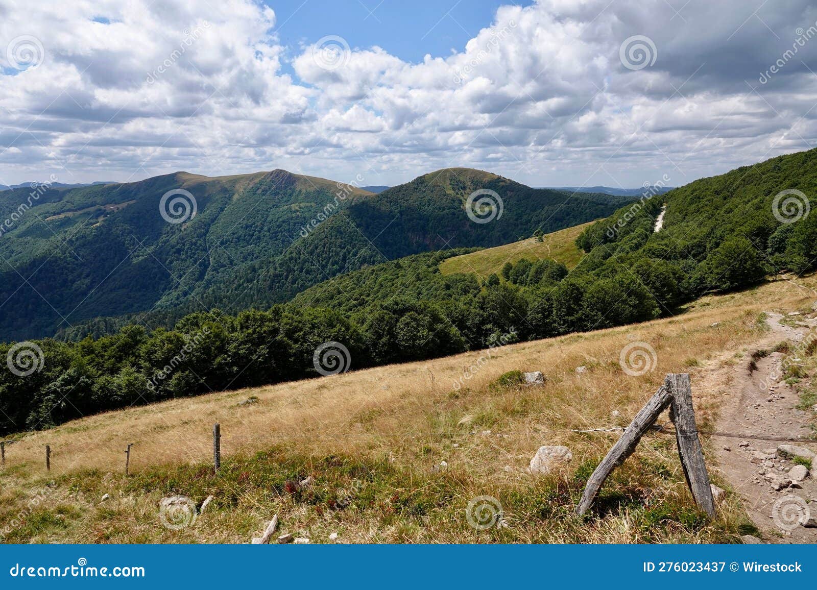 Scenic Pathway Meandering through a Lush Forest Down the Side of a ...