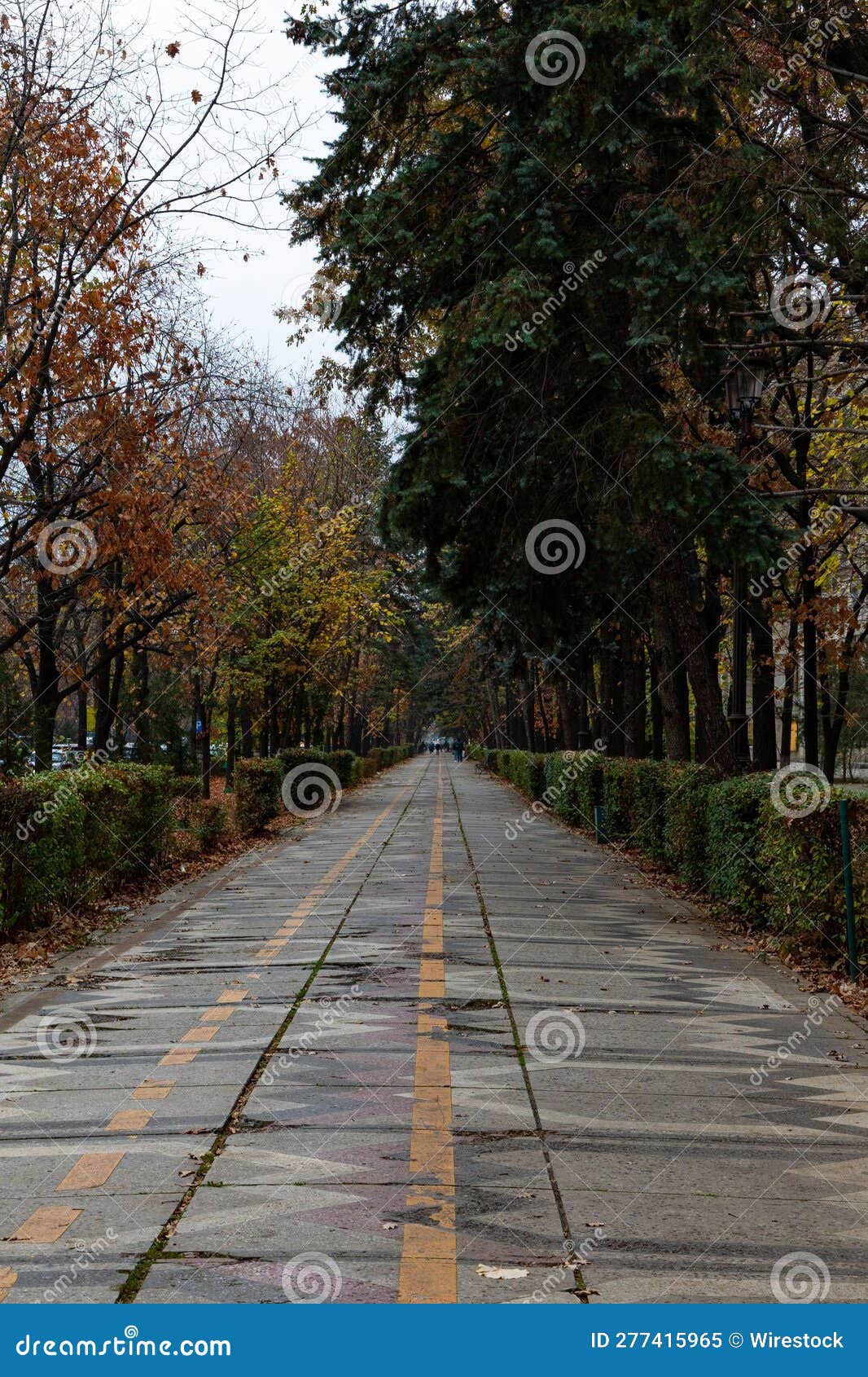 Scenic Paved Pathway Marked For Pedestrians And Cyclists With White ...