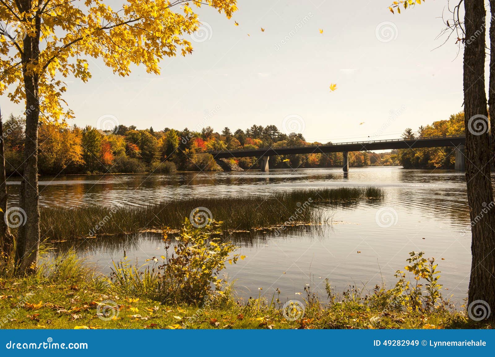 Scenic Penobscot River stock image. Image of penobscot - 49282949