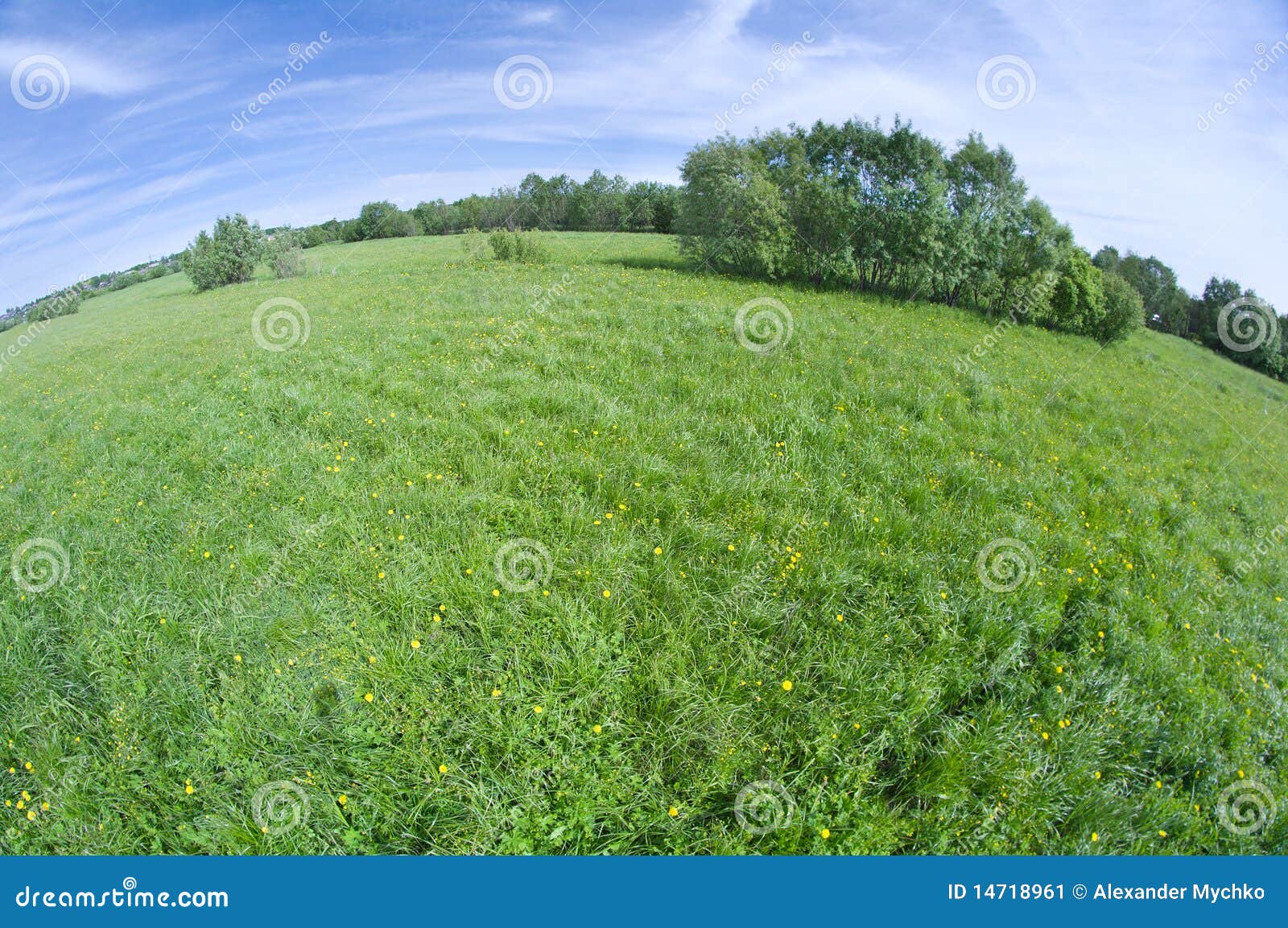 Scenic picture of a meadow stock image. Image of impressive - 14718961