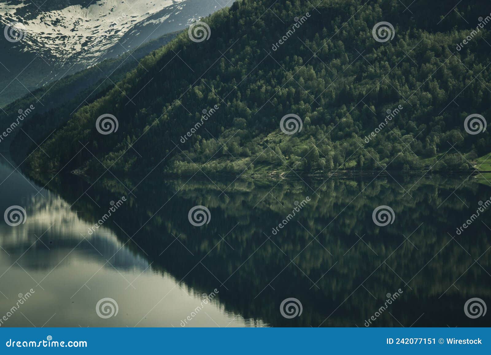 Scenic Picture of Sea and Forest in Norway Stock Image - Image of ...