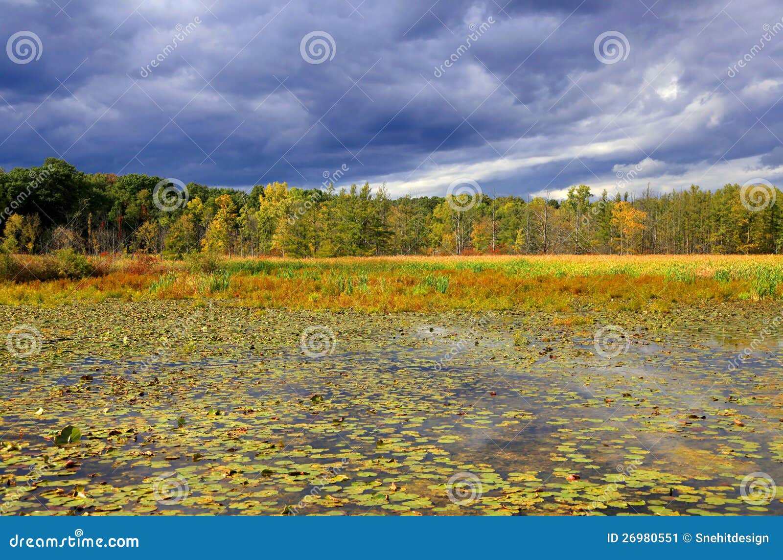 Scenic pond stock image. Image of tranquility, scenic - 26980551