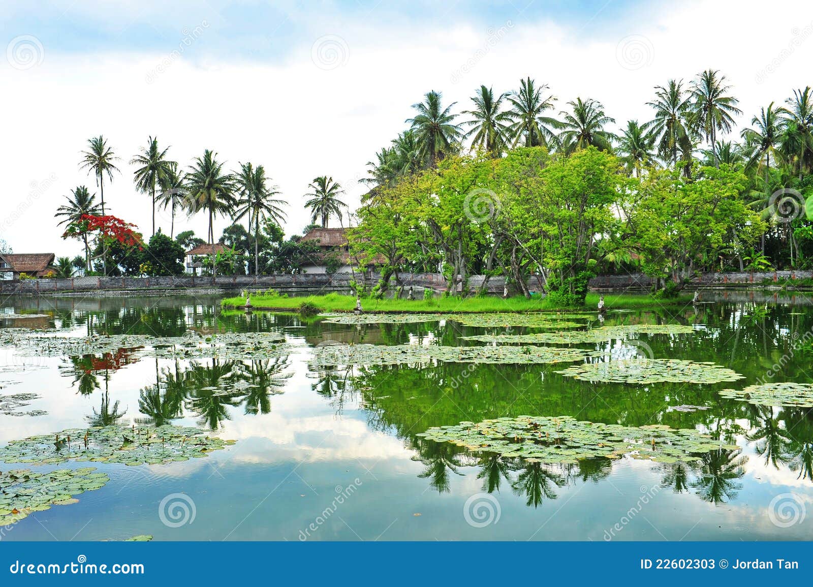 Scenic pond in Bali stock image. Image of reflect, indonesia - 22602303
