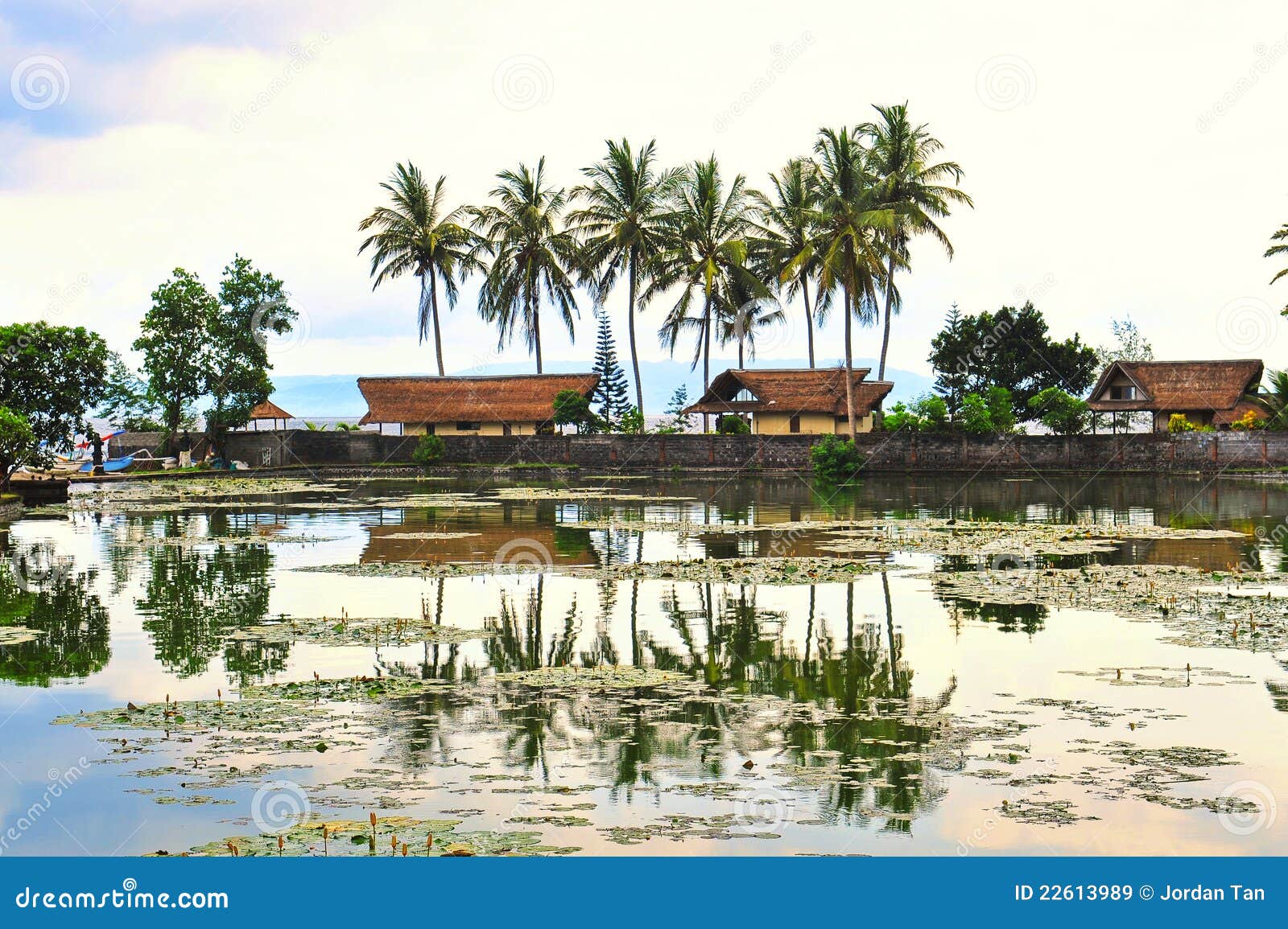 Scenic pond in Bali stock image. Image of pond, landscape - 22613989
