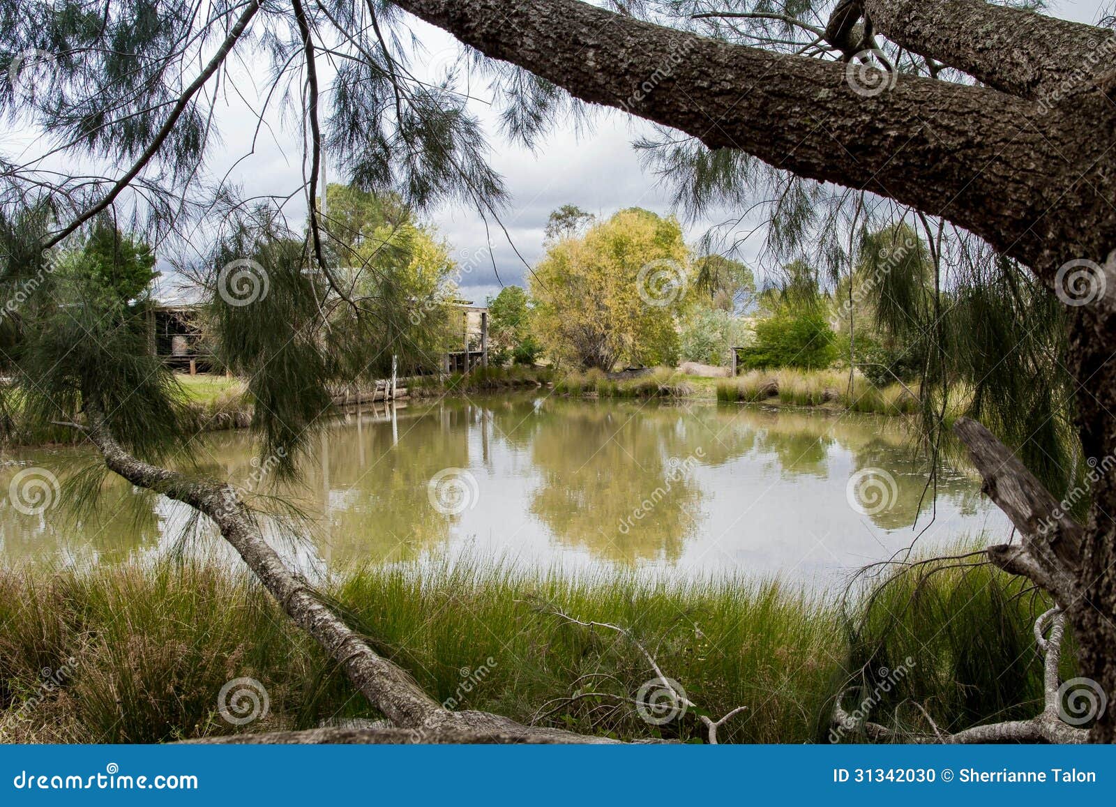 Scenic pond stock photo. Image of quiet, water, rural - 31342030