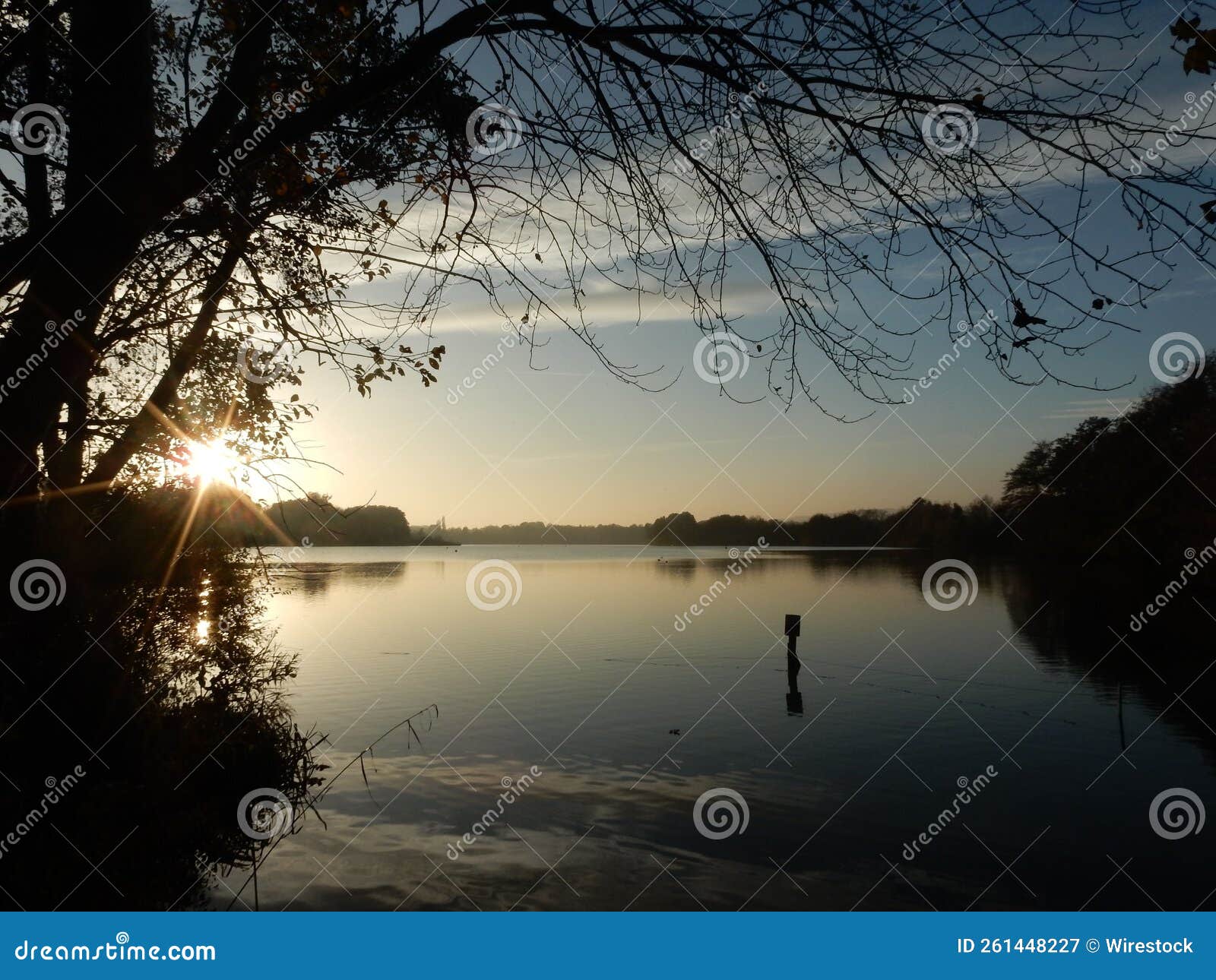 Scenic Pond Surrounded by Trees Stock Image - Image of beauty, river ...