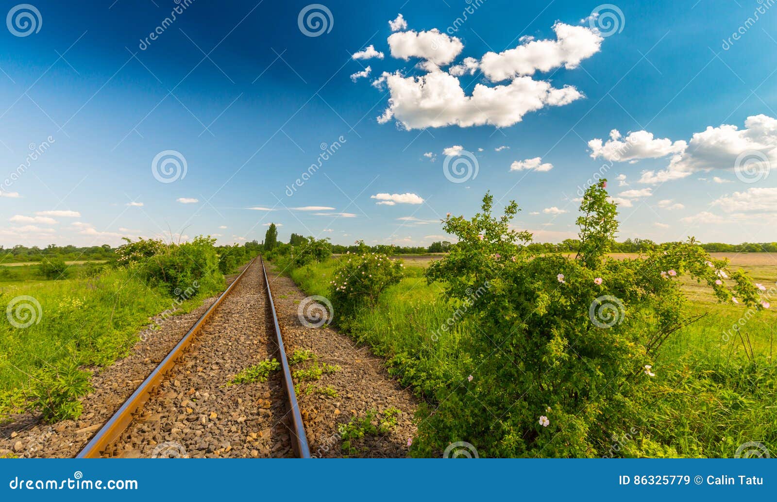 Scenic Railroad in Remote Rural Area Stock Image - Image of nature ...