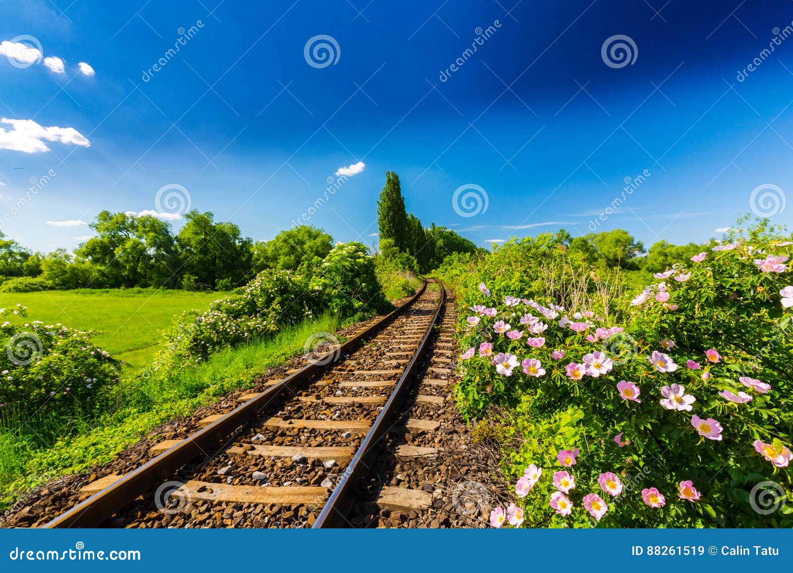 Scenic Railroad in Remote Rural Area Stock Image - Image of railroad ...