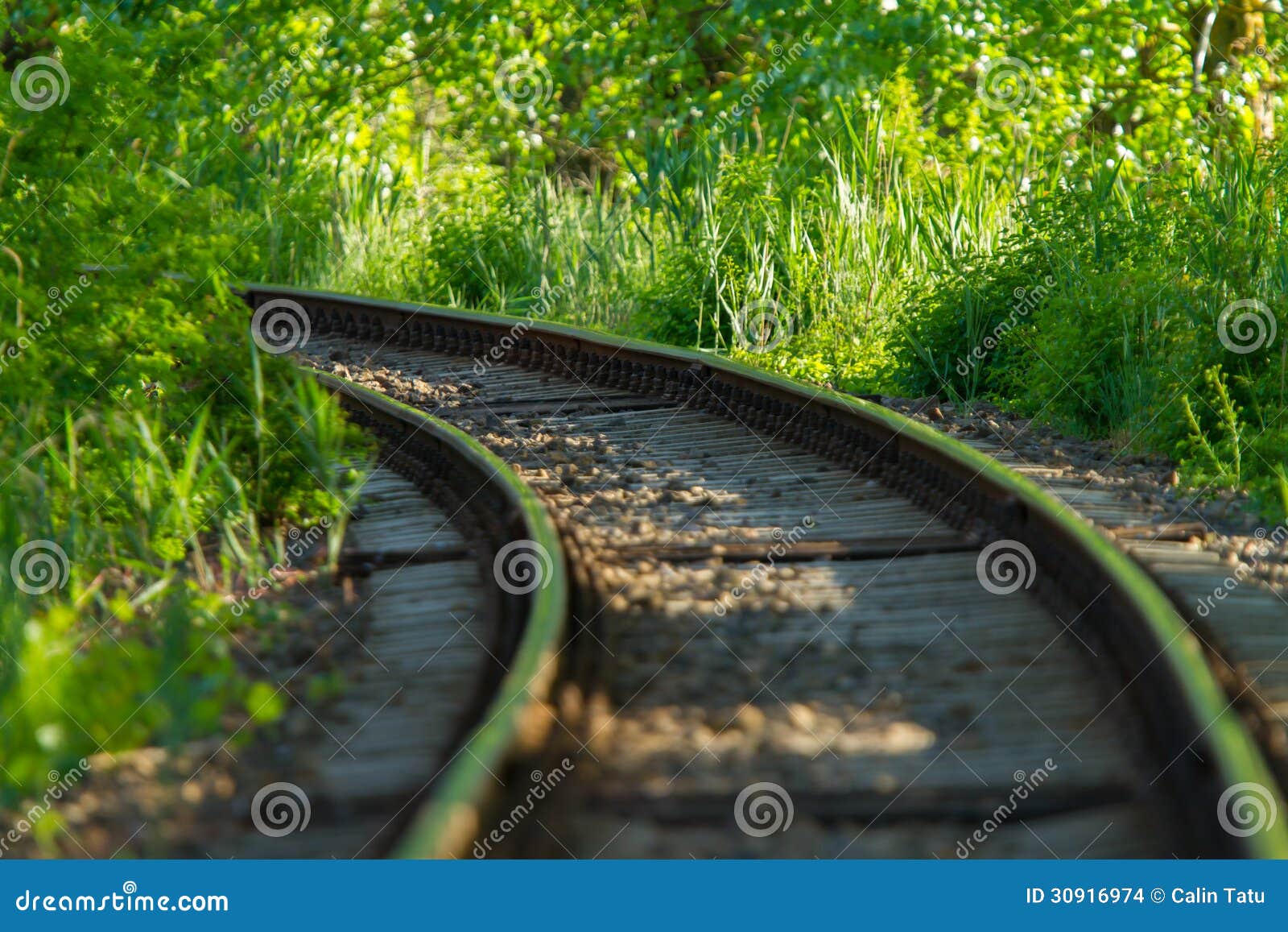 Scenic Railroad in Rural Area Stock Photo - Image of remote, scenery ...