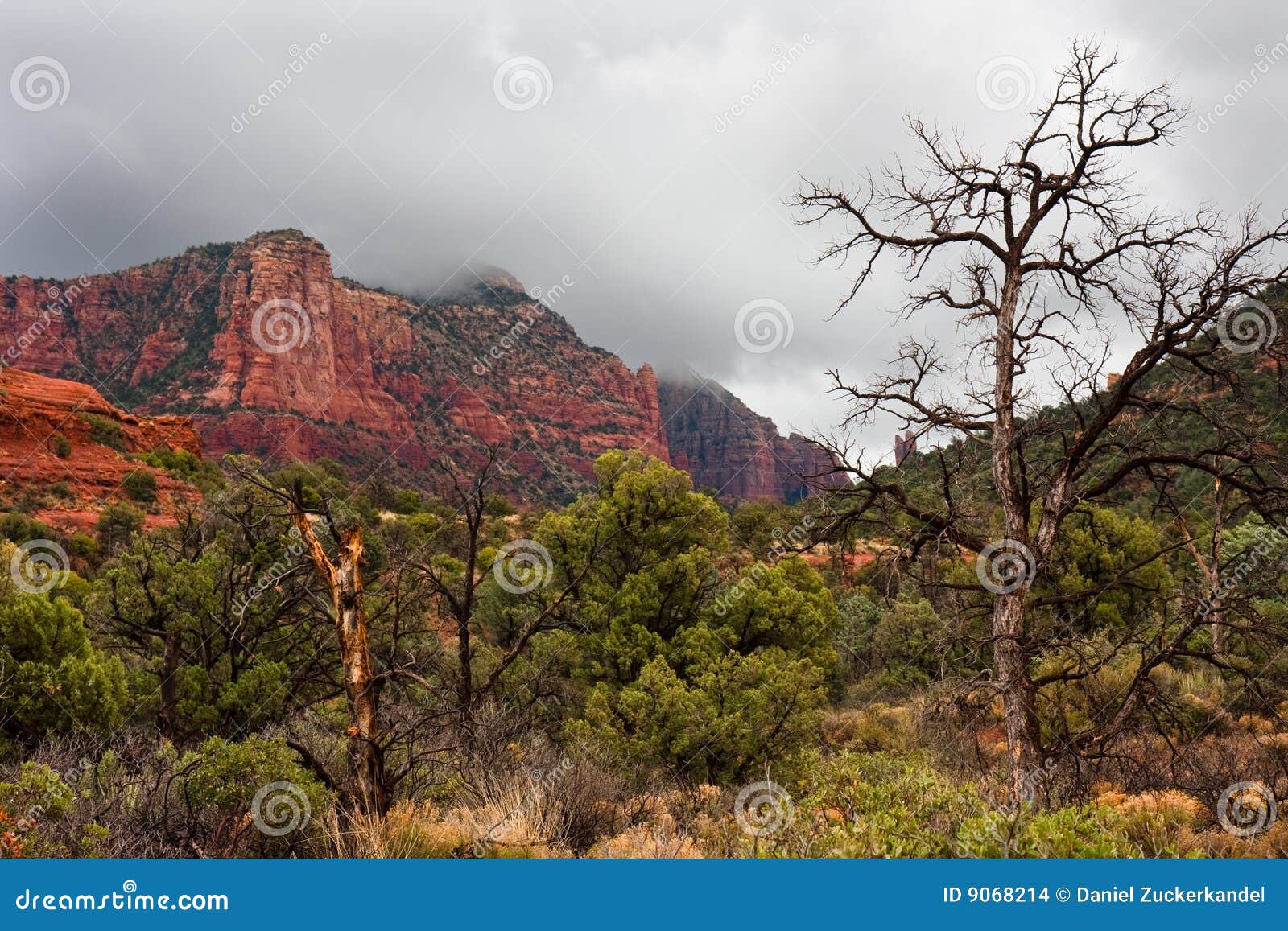 Scenic Red Rocks stock photo. Image of national, arizona - 9068214
