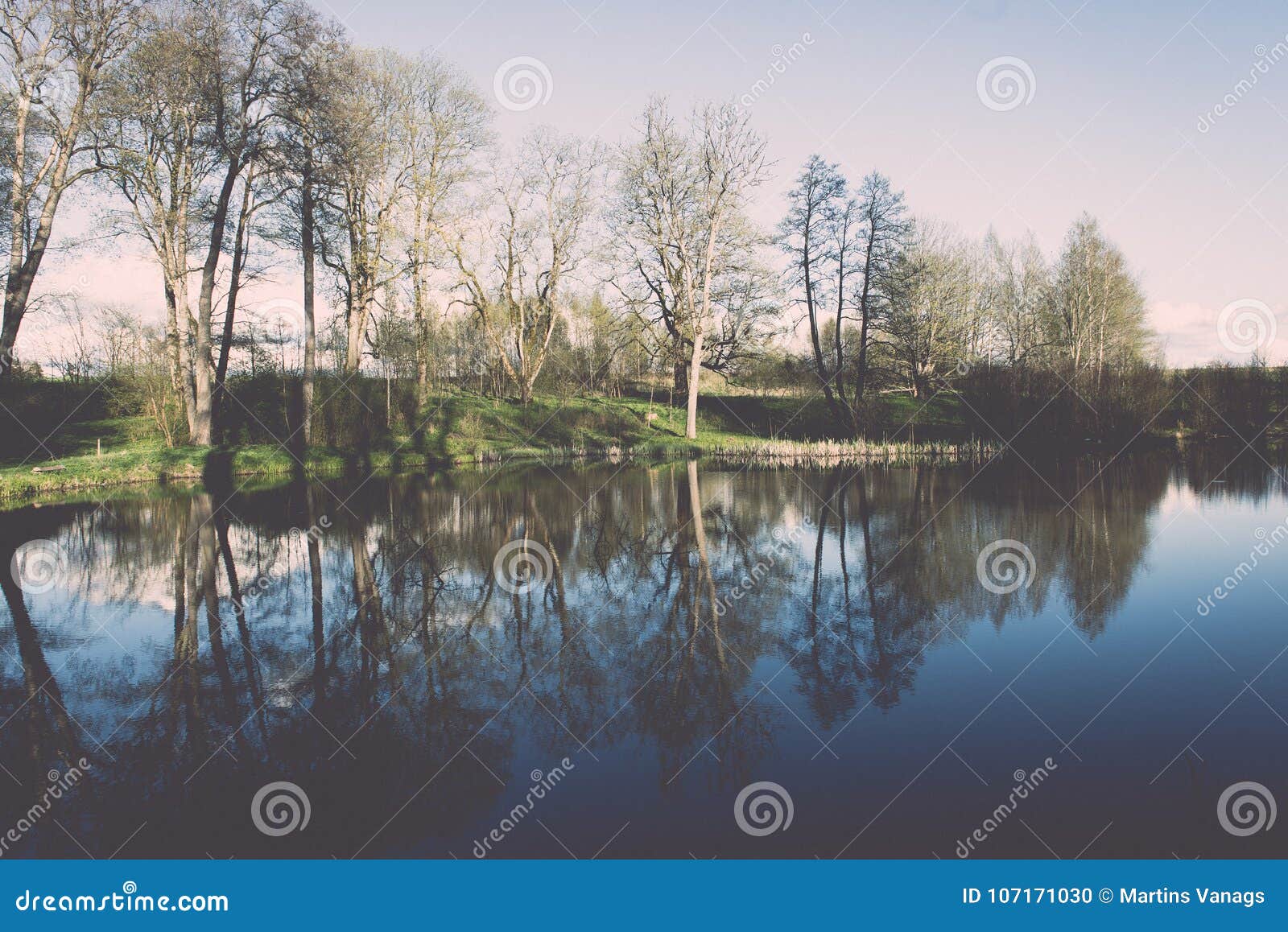 Scenic Reflections of Trees and Clouds in Water - Retro Vintage Stock ...