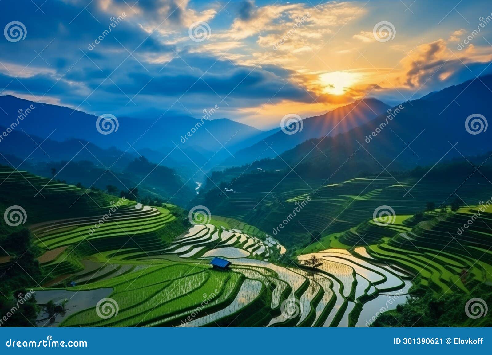 Scenic Rice Terraces in Asia Stock Illustration - Illustration of ...