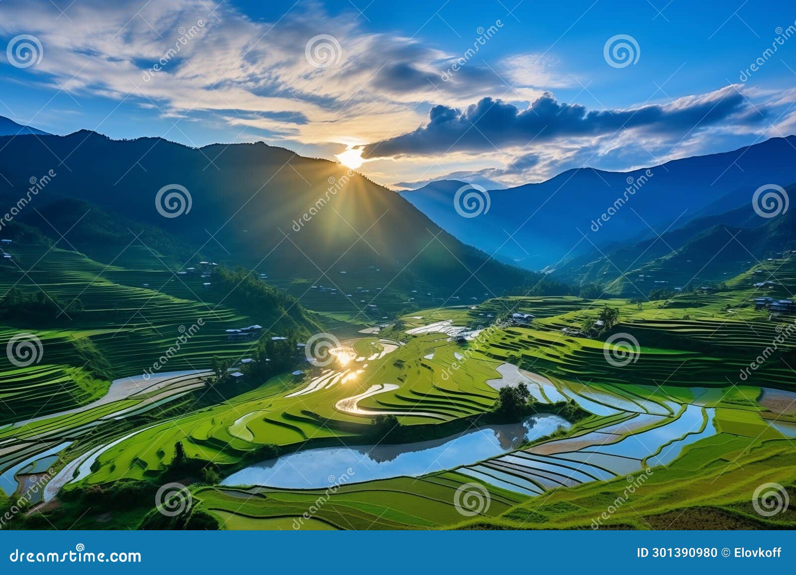 Scenic Rice Terraces in Asia Stock Illustration - Illustration of ...