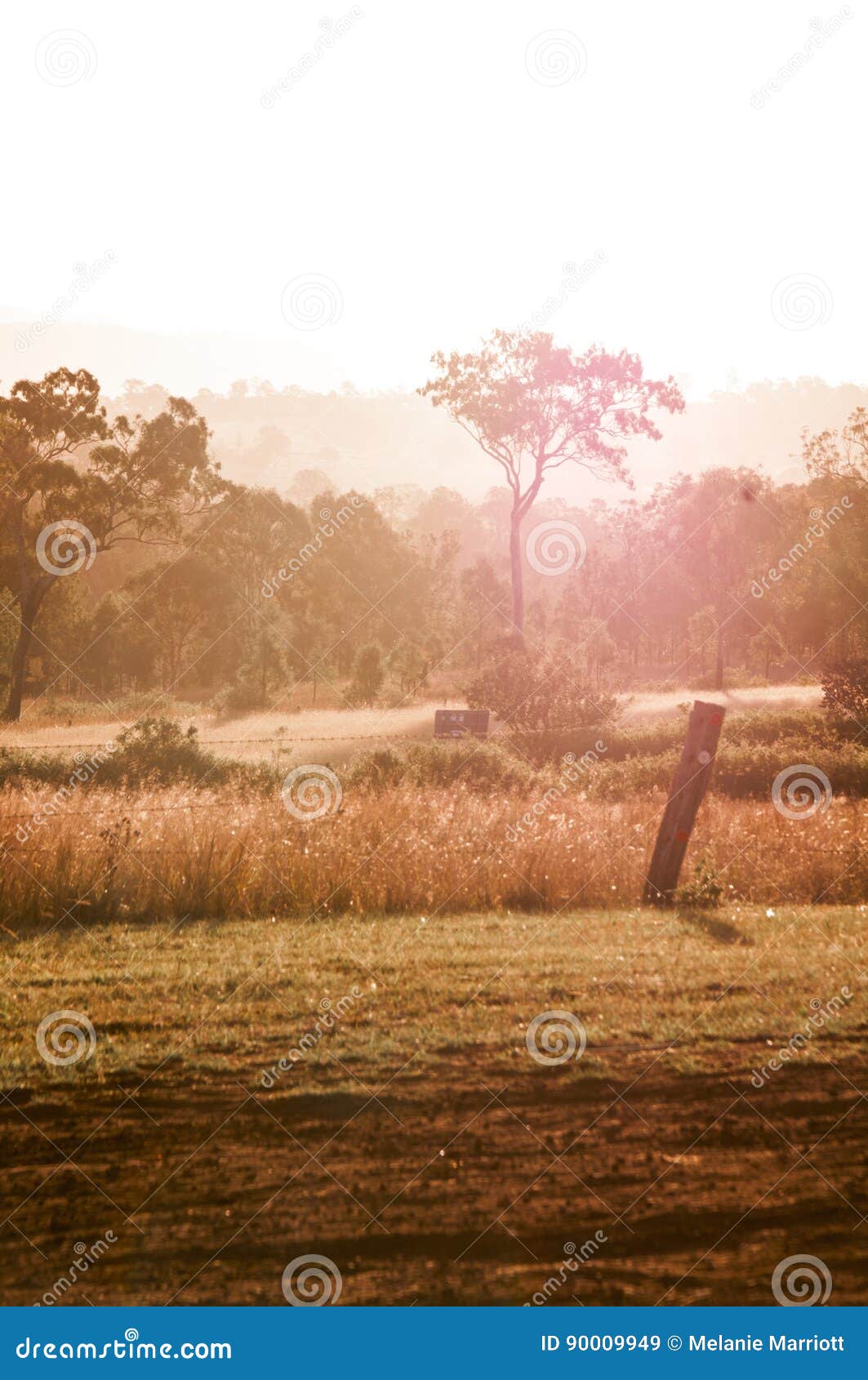 Scenic Rim stock image. Image of green, mountains, outback - 90009949
