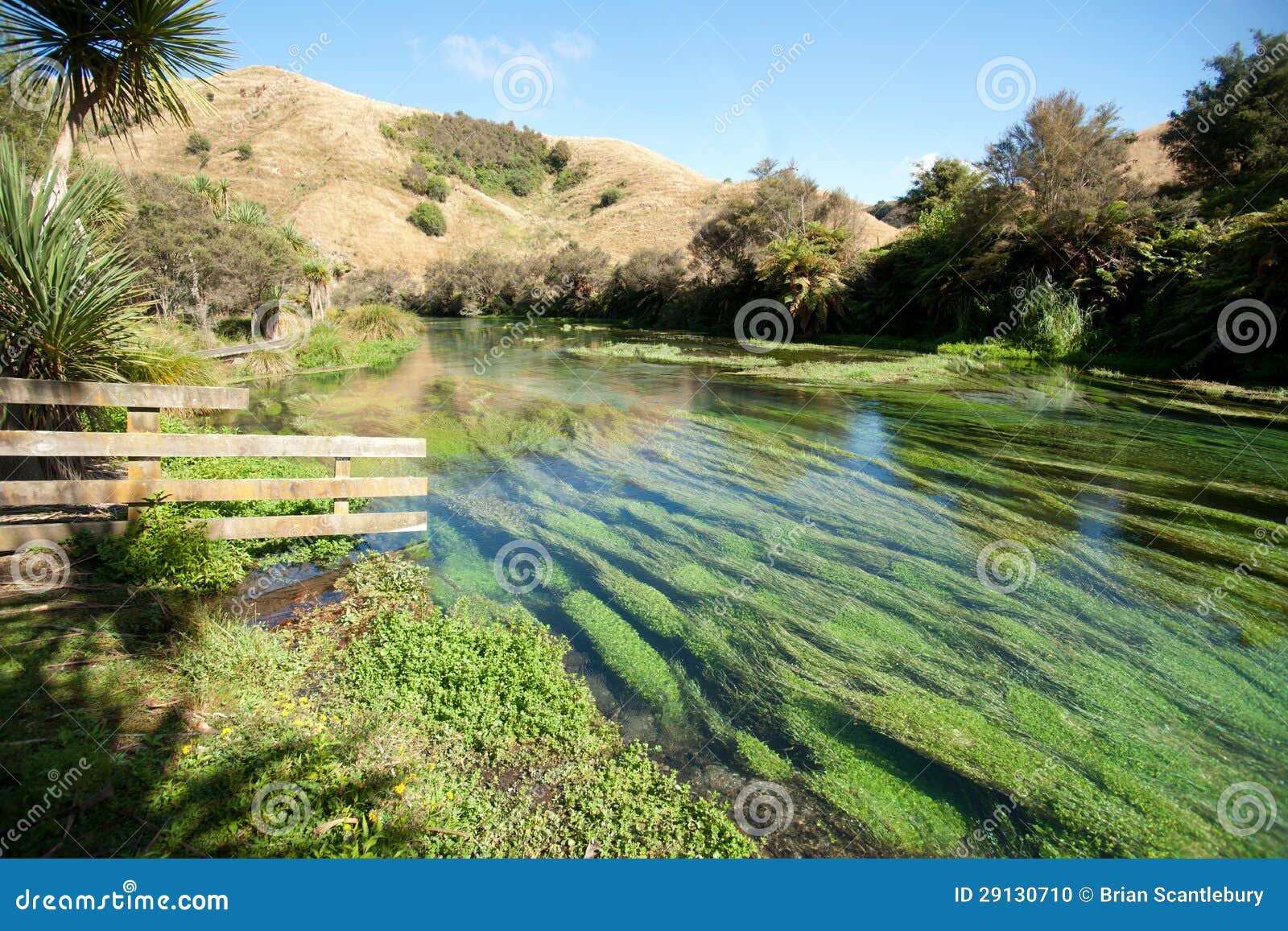 Scenic River stock photo. Image of freshness, blurred - 29130710