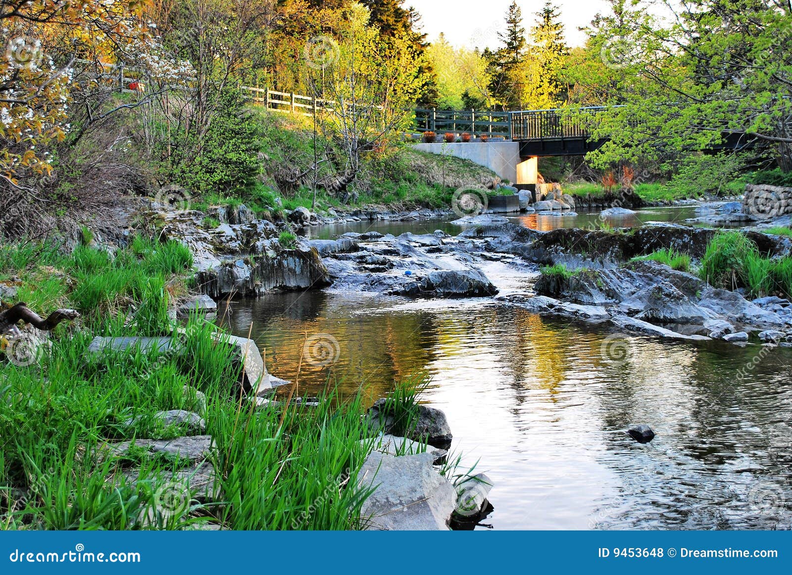 Scenic River in Countryside Stock Photo - Image of countryside ...
