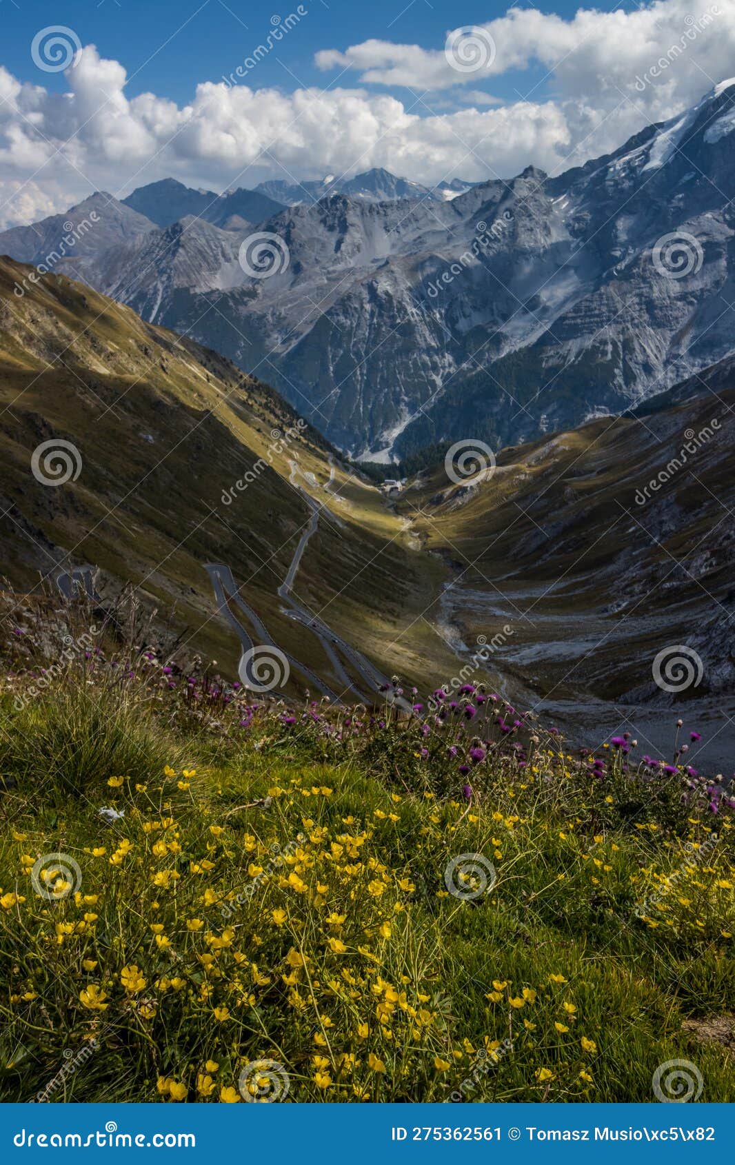 Scenic road in Alps stock image. Image of trail, road - 275362561