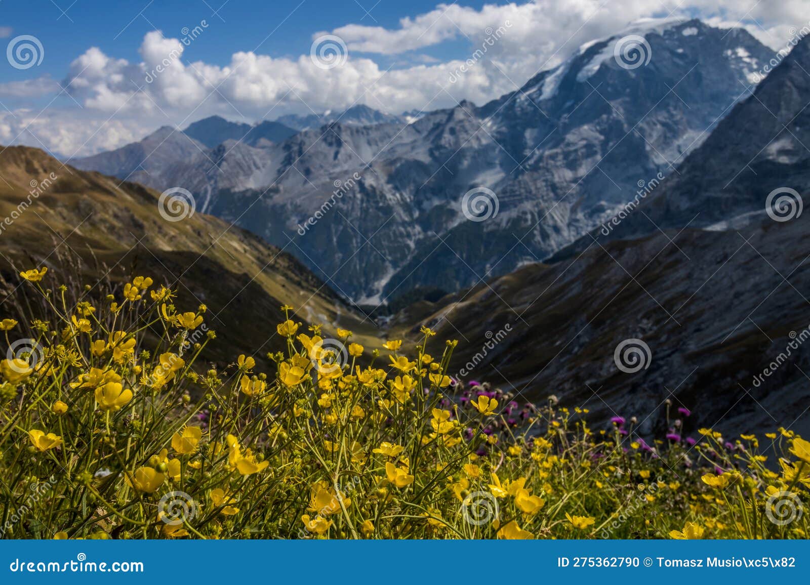 Scenic road in Alps stock photo. Image of green, cold - 275362790