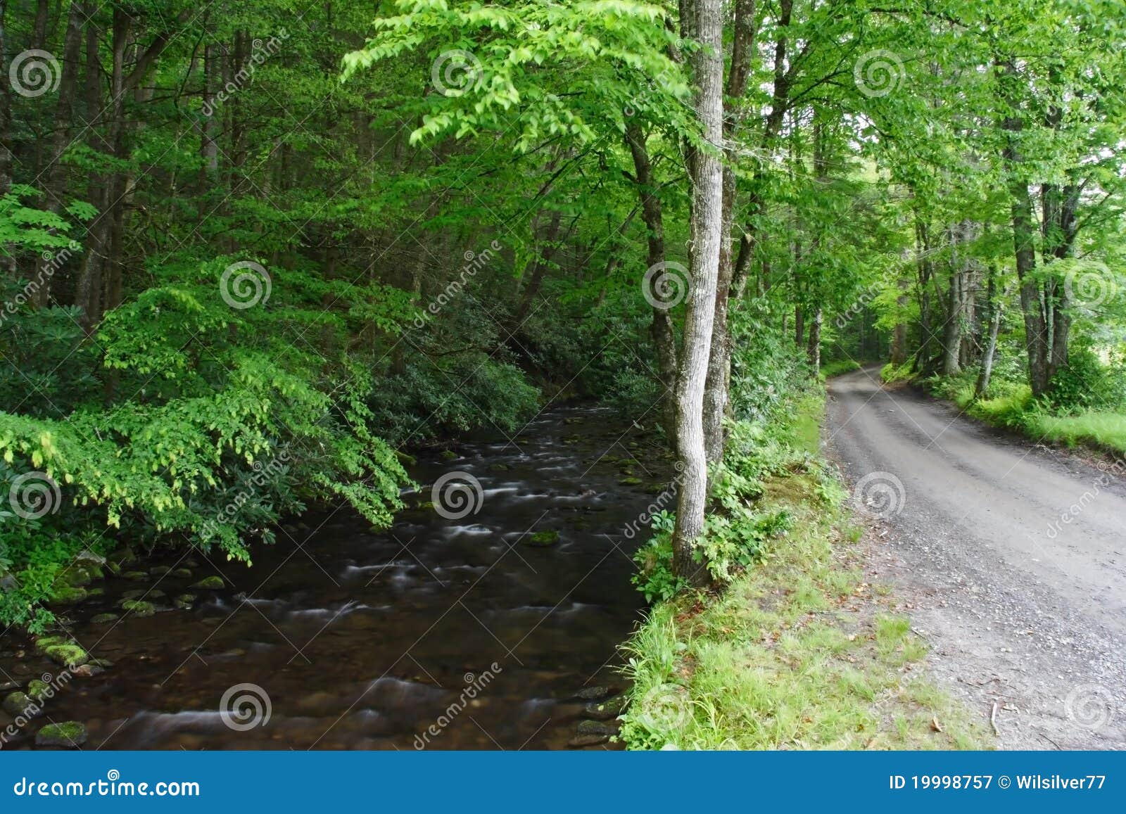 Cataloochee River Stock Photos - Free & Royalty-Free Stock Photos from Dreamstime