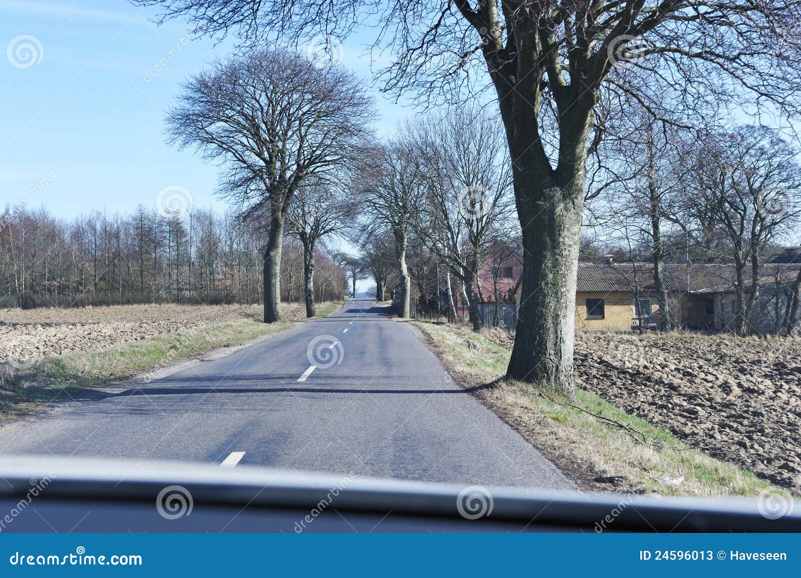 Scenic road in Denmark stock image. Image of tree, landscape - 24596013