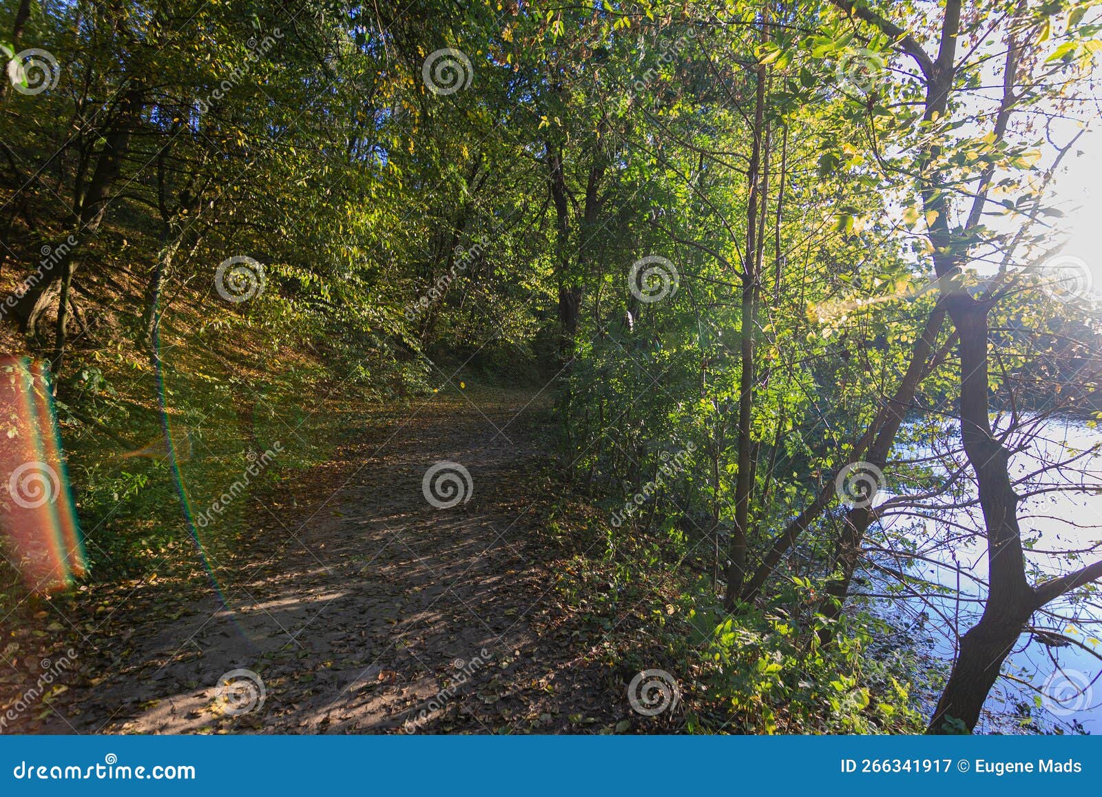 Scenic Road Near the River with Sun Rays Stock Image - Image of rays ...
