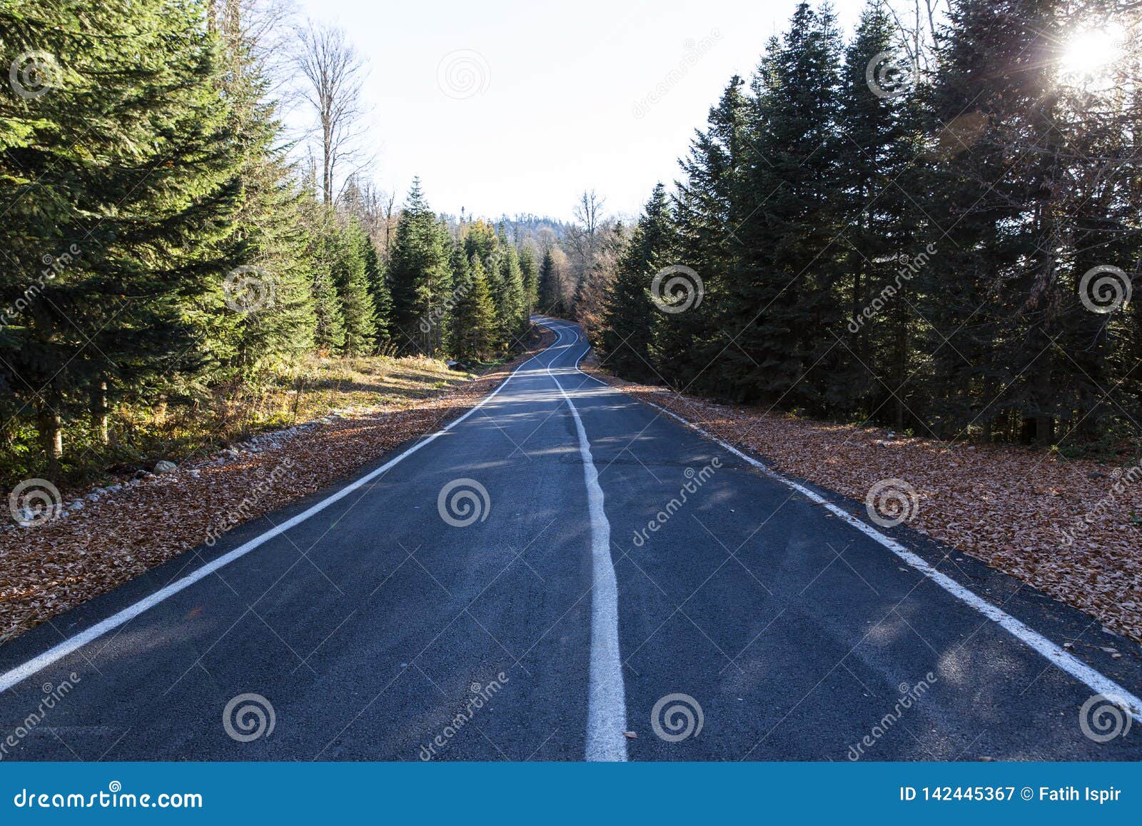 Road through the Forest through the Autumn Landscape Stock Image ...