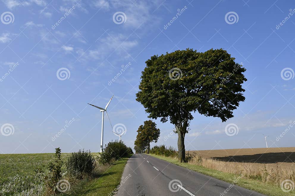 Scenic Road with Green Fields and Trees Stock Image - Image of nature ...