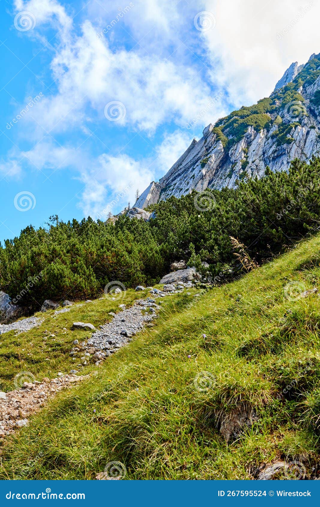 Scenic Rocky Cliffs Over the Green Hills Stock Photo - Image of ...
