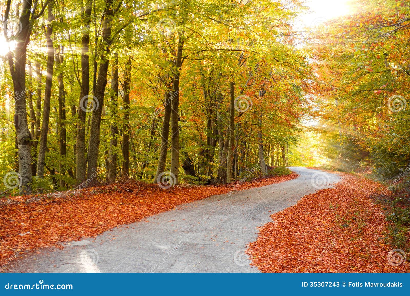 Scenic rural path stock image. Image of colorful, leaf - 35307243