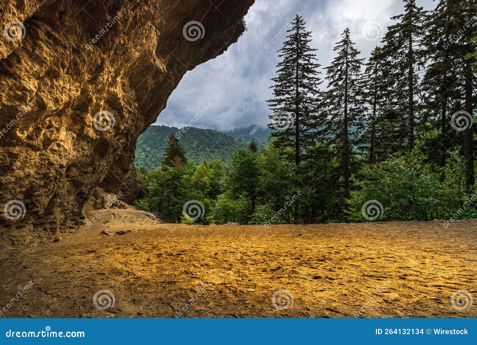 Scenic Shot of a Clear Trail Underneath a Rock Formation in a Forest ...