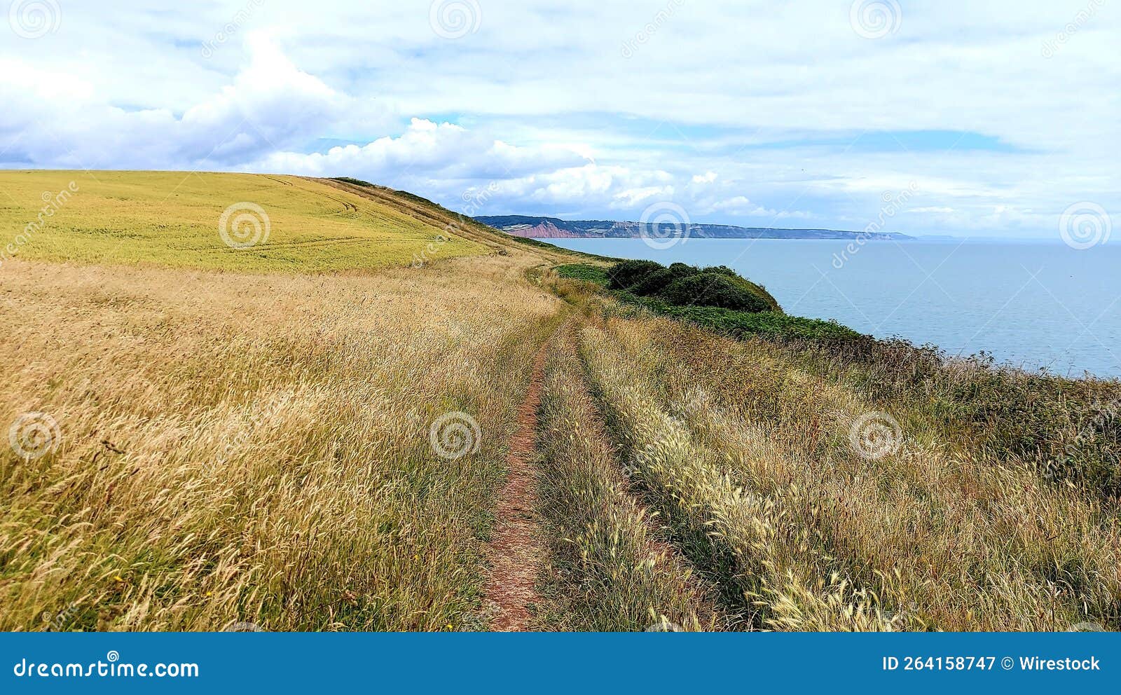 Scenic Shot of Grass Fields on a Cliff Overlooking a Coast Stock Image ...
