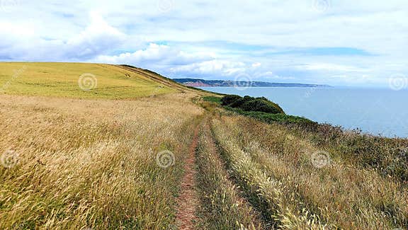Scenic Shot of Grass Fields on a Cliff Overlooking a Coast Stock Image ...