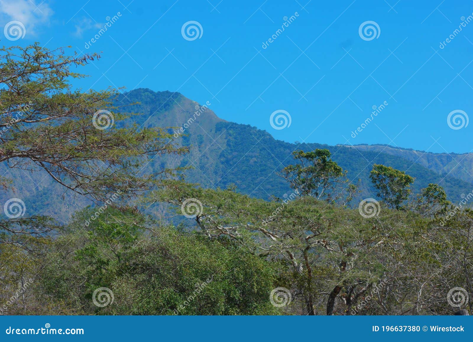 Scenic Shot of Mount Baluran from Baluran National Park in Java ...