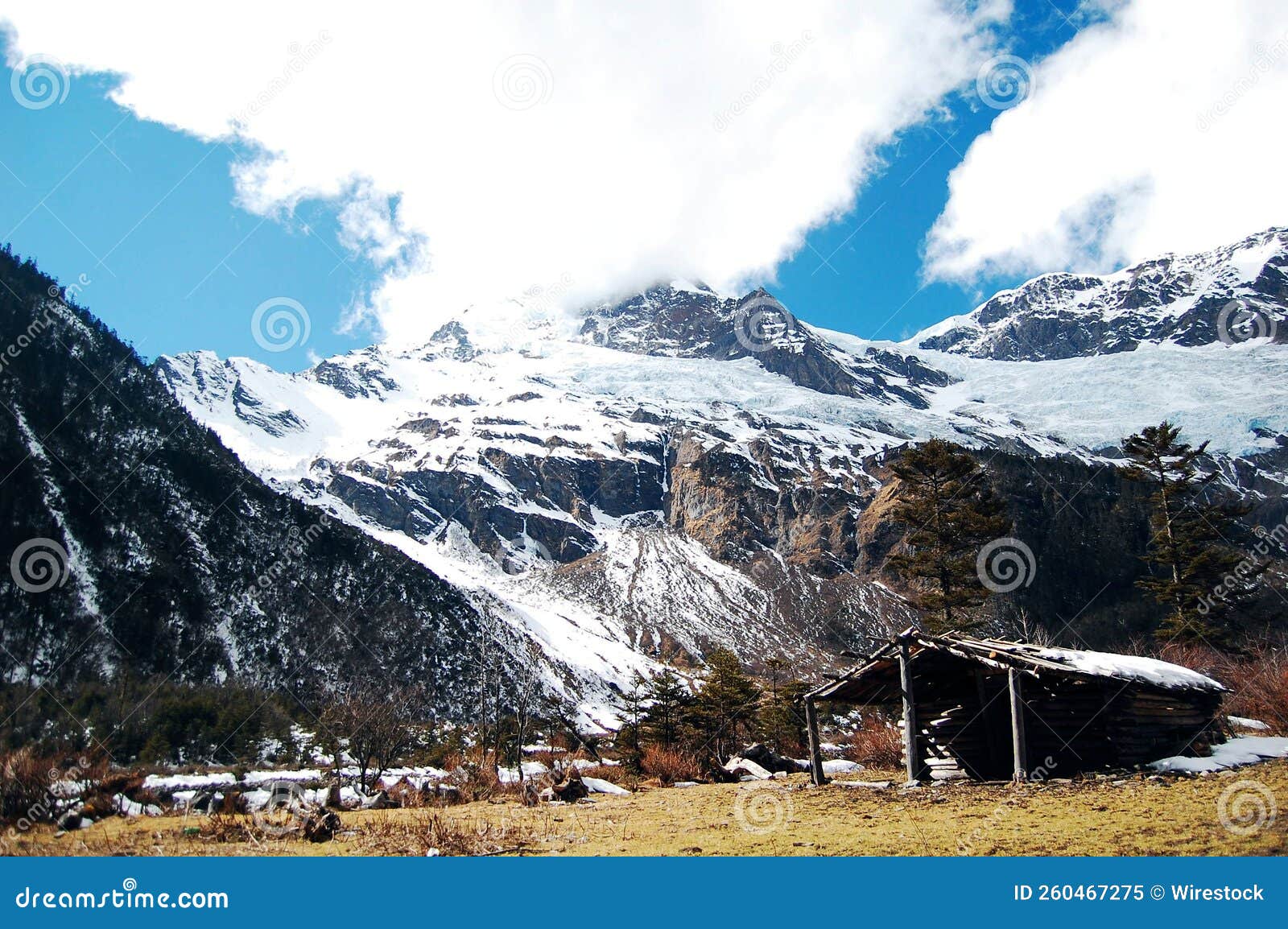 Scenic Shot of Mountains Covered in Snow in a Forest Stock Image ...