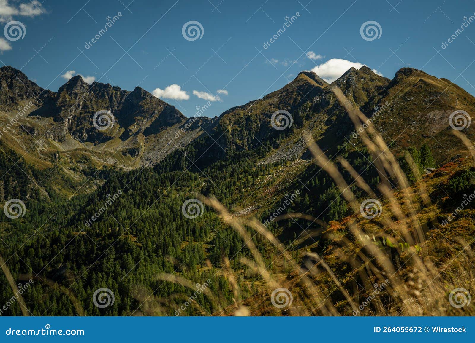 Scenic Shot of a Mountainside and a Green Forest Surrounded by High ...
