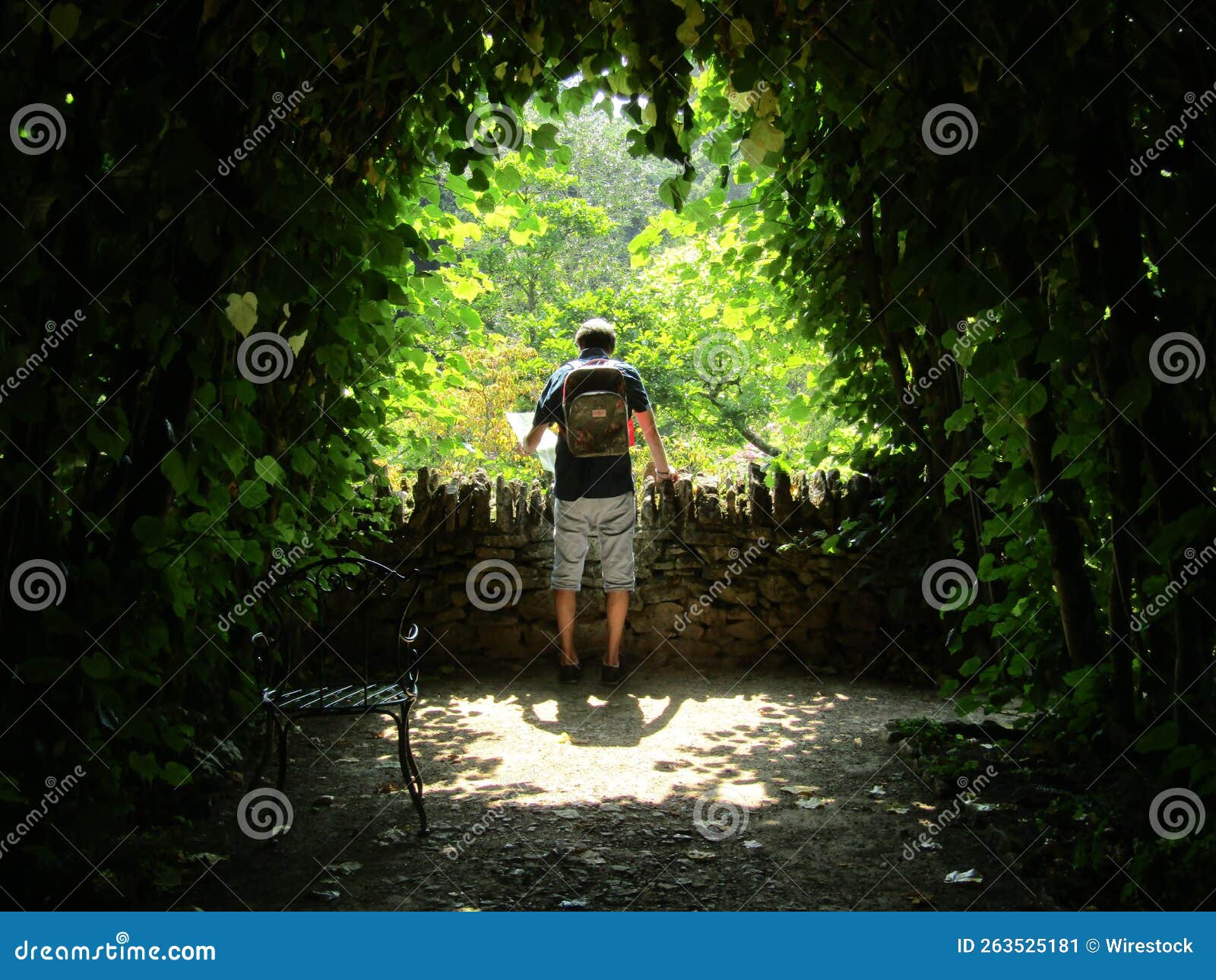 Scenic Shot of a Person Standing Next To a Wall Framed with a Foliage ... Scenic Shot of a Person Standing Next To a Wall Framed with a Foliage ...