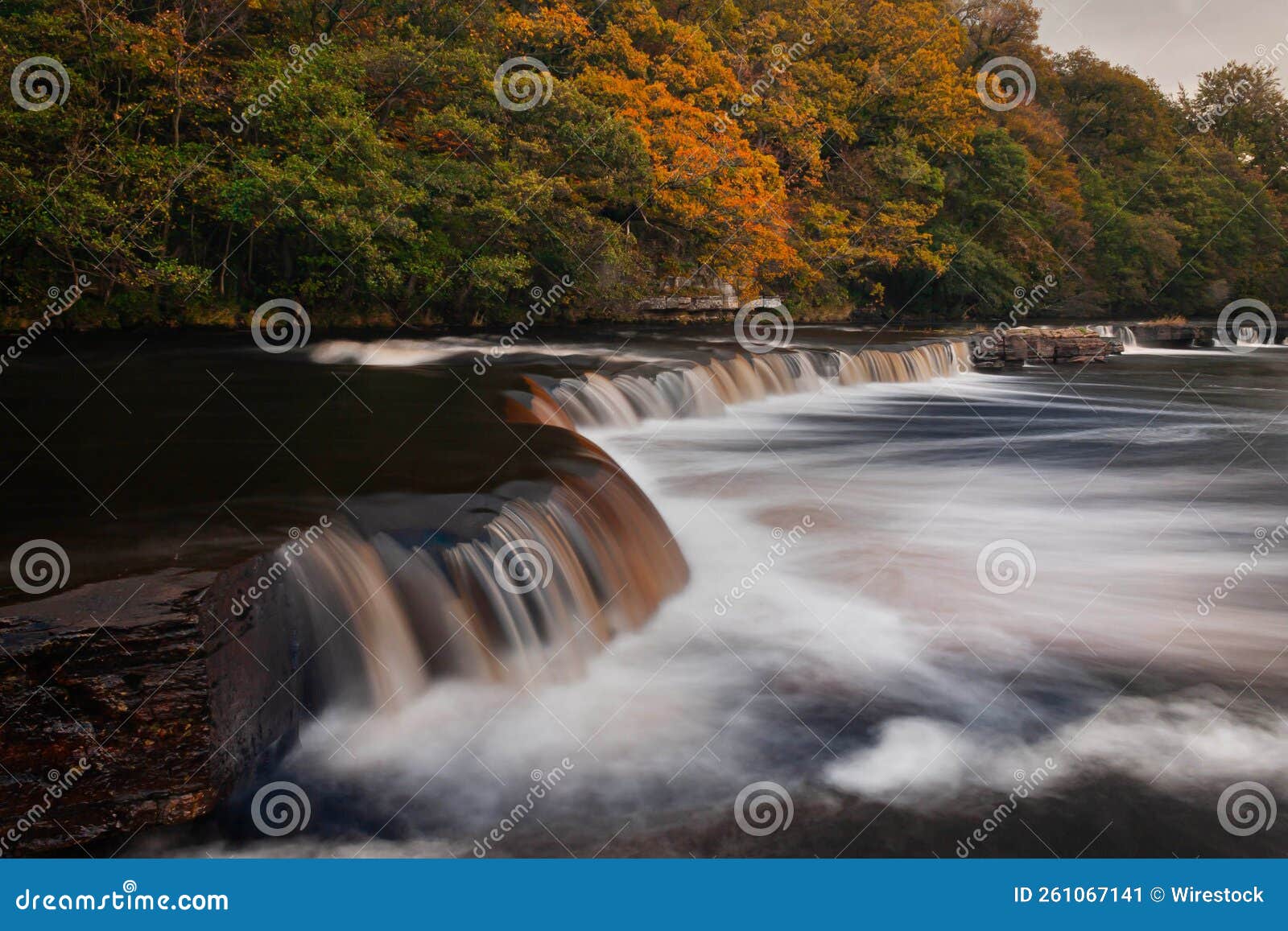 Scenic Shot of a River Rapid Against the Autumn Forest Stock Image ...